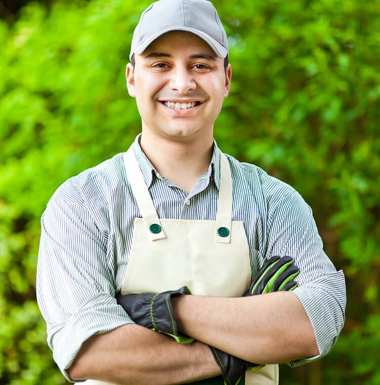 Gardeners in Blackpool | Climbing Wild Gardeners